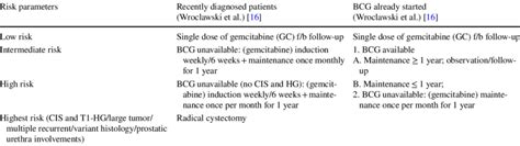 Strategies Used In Patients With Nmibc Who Are Recently Diagnosed And