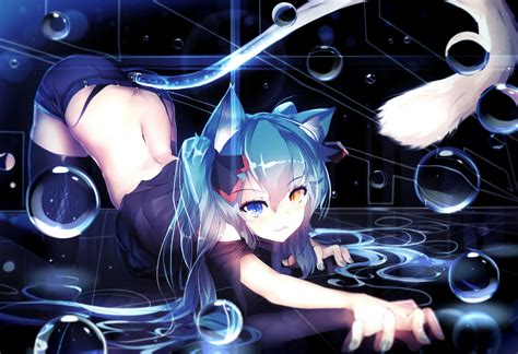 Wallpaper Anime Girls Neko Ears Cat Ears Blue Hair Water Drops