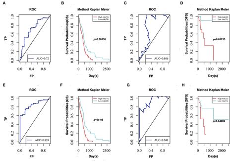 Roc Curve And Kaplan Meier Plot Of Prognostic Predictor For Gbm