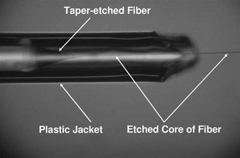 Microscope Photograph Of An Etched Fiber A Tapered Etch Is Observed At