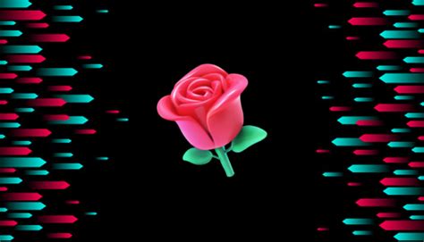 Combien Coûte Une Rose Fleur Sur Tiktok Prix And Conversion