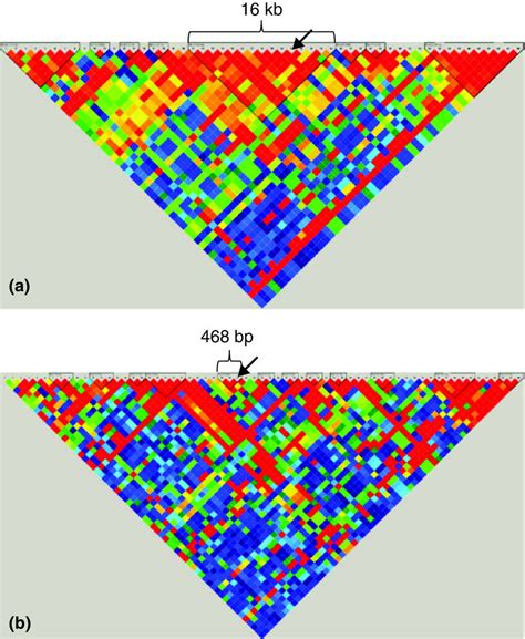 Differences Of Linkage Disequilibrium Structure Hapmap Based Ld Around