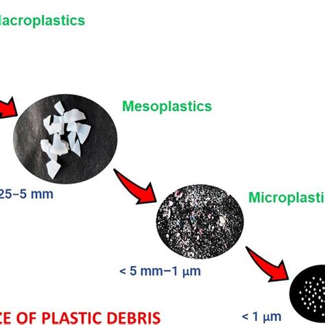 Different Sizes Of Plastic Particles Download Scientific Diagram