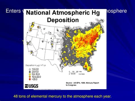Chemical Pollutants Metals and Non-metals Chemical Pollutants - ppt ...