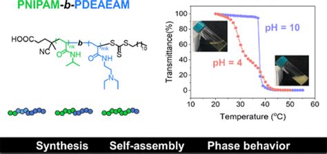 Dual Thermo And Ph Responsive Block Copolymer Of Polyn