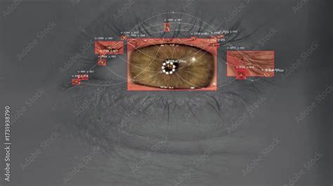 Precision Eye Tracking Coordinate Mapping System With Detection Points