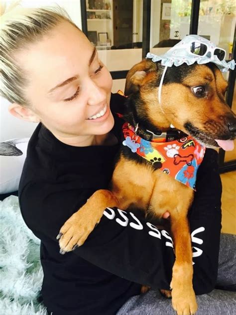 Una posible batalla tras la ruptura de Miley Cyrus y Liam Hemsworth con quién se quedarán sus