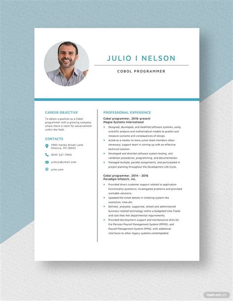 Cobol Programmer Resume In Pages Word Download