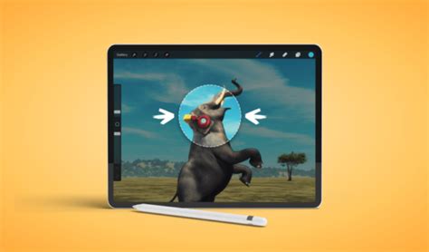 How To Duplicate In Procreate Layers Objects And Selections Logos