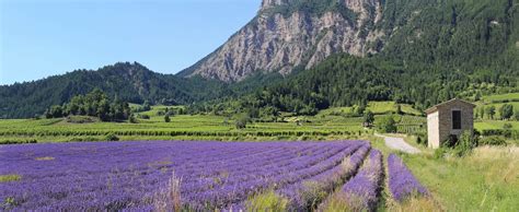 Drôme Vacation Rentals And Airbnb Cozycozy