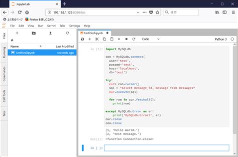 Serverあれこれ Lxdでjupyter Labとmariadbがインストールされたコンテナubuntu1804を構築する
