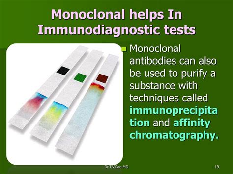 Ppt Monoclonal Antibodies Powerpoint Presentation Free Download Id 288046