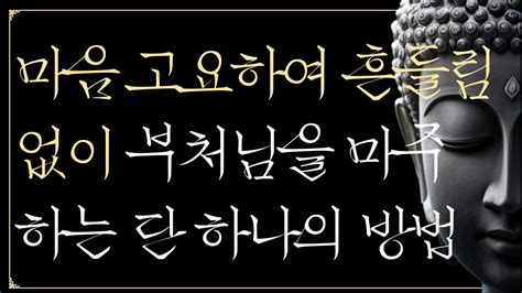 듣는명상 몸과 마음을 고요히 하여 부처님을 만나는 단 하나의 방법 부처님말씀 Youtube