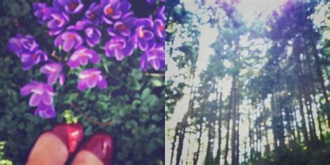 Creating Intentional Blur With An IPhone Be Your Own Beloved Vivienne McMaster
