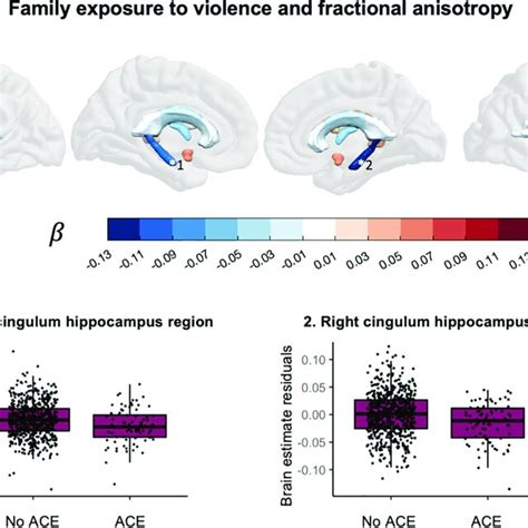 Small‐world Properties Are Demonstrated In The Functional Brain Download Scientific Diagram