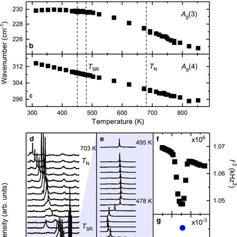 High Temperature Evolution Of Lattice Vibrations And Elastic
