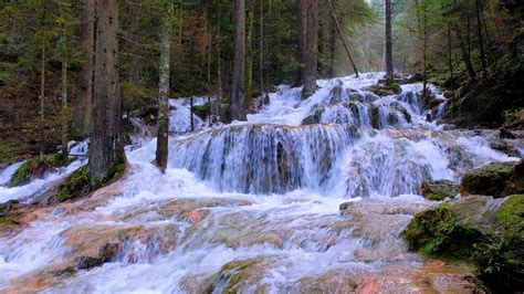 Water Sounds 머리를 맑게 해주는 산 속 폭포 물소리 새소리 Asmr Youtube
