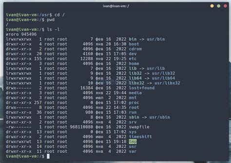 Командная строка Linux навигация в системе и просмотр директорий команды Pwd Ls Cd Вороний