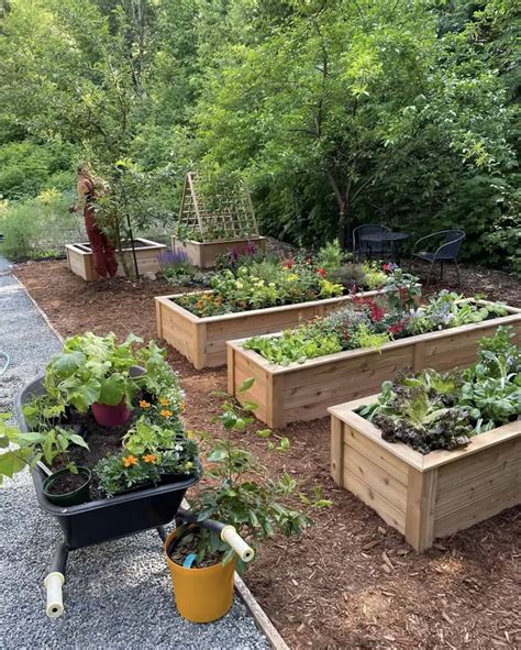 Raised Garden Bed Ideas New Raised Bed Vegetable Garden Design The