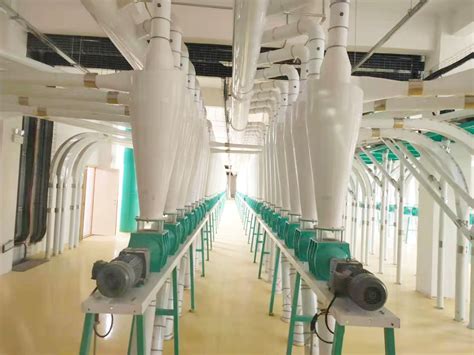 60 300 Ton Electrical Control Wheat Flour Processing Plant Flour Production Line And Mill Machine