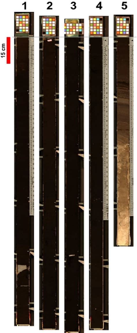 Figure A56 Half Of The Pex 19 Sediment Cores In A Color Scan Image