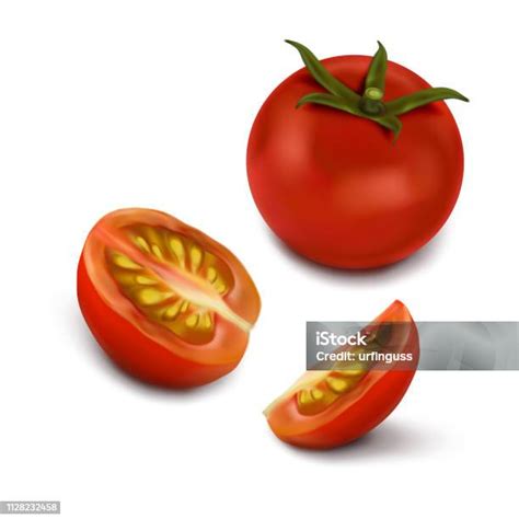 빨간 체리 토마토입니다 전체 토마토 반 토마토 토마토의 4 분의 1 3d 현실 벡터 그림을 흰색 배경에 고립입니다 0명에 대한 스톡 벡터 아트 및 기타 이미지 Istock