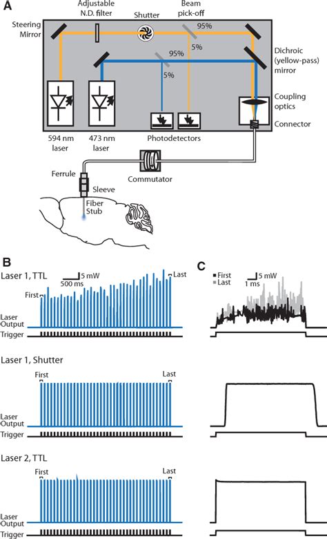 Figure 2 From Optogenetics In Neural Systems Semantic Scholar