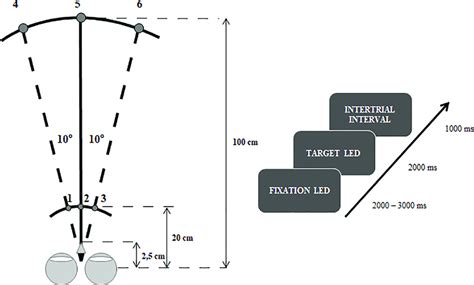 A A Graphical Representation Of The Experimental Setup LEDs Download Scientific Diagram