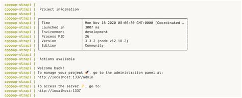 Dashborad Still Shows Older Strapi Version After Upgrade Issue Strapi Strapi Docker