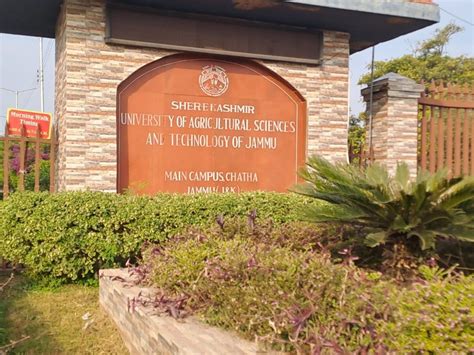 Bhupal Arya On Linkedin Cyber Ethicalhacking Ethicalhackers