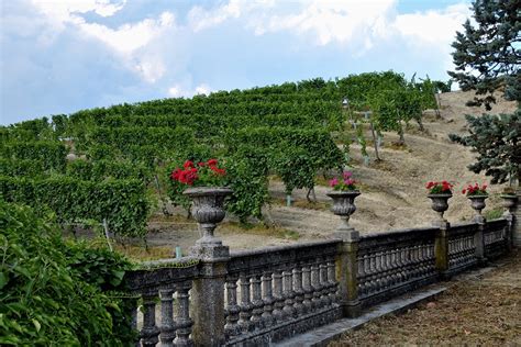 Cantina Poderi Colla Alta Langa Docg