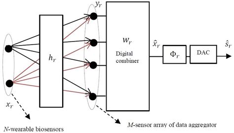 Artifacts And Inter Biosensor Interference Scenarios Where Motion
