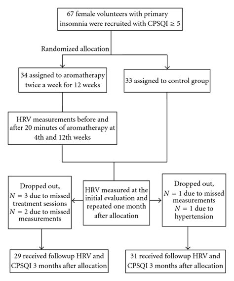 Flowchart Of The Distribution Of The Cohort Study Download Scientific Diagram