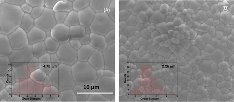 Scanning Electron Microscopy Sem Micrographs Of A Download Scientific Diagram