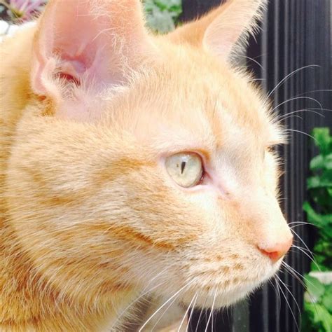 Pictures Of Fleur Bennett