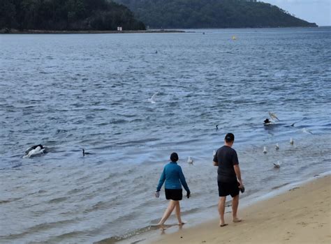 Metadata Secretly Exposes Data How To Stop Giving It Away Safety Cybershack