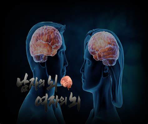 Kbs 생로병사의 비밀 남자의 뇌 여자의 뇌 뇌에도 성별이 있다