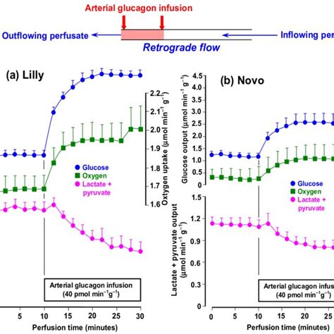 Chromatographic Analysis Of Three Glucagon Preparations The Download Scientific Diagram