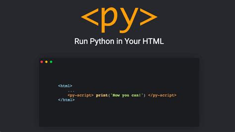 一个神器的项目让 Python 在 HTML 中运行 程序猿DD