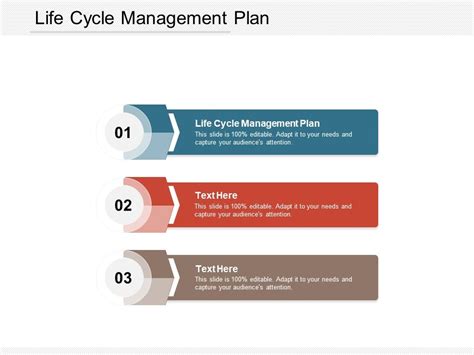 Life Cycle Management Plan Ppt Powerpoint Presentation Summary Styles Cpb Powerpoint Slide