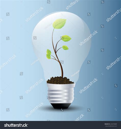 Tree Grow Light Bulb Vector Illustrations Stock Vector Royalty Free 243478489 Shutterstock