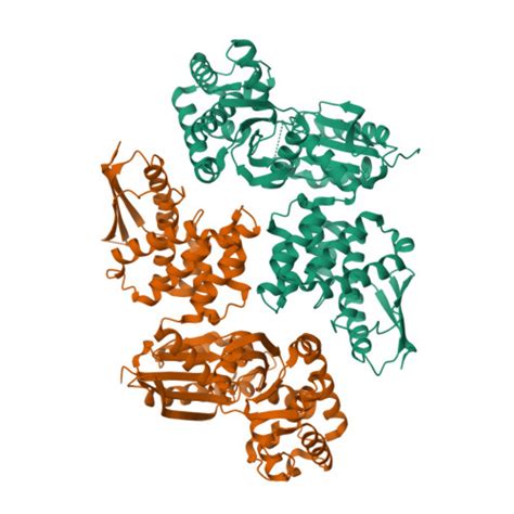 Rcsb Pdb 8jgx Crystal Structure Of Acinetobacter Baumannii