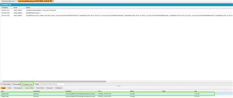 display debug log example