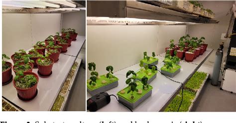 Figure 3 From Exploiting Pre Trained Convolutional Neural Networks For The Detection Of Nutrient