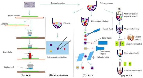 行业洞察一文看懂单细胞测序 知乎