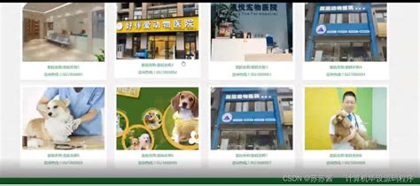 计算机毕业设计springboot宠物医院管理系统881ck9【附源码数据库部署lw】springcloud宠物医院管理系统 Csdn博客