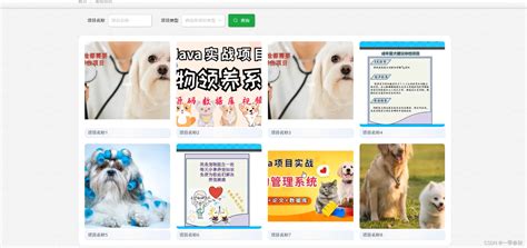 Springbootvue实现宠家宠物服务管理系统设计与实现springbootvue 宠物医院管理系统 Csdn博客