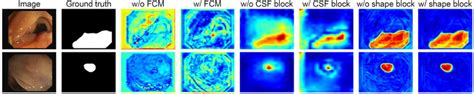 The Feature Heatmap Of Different Module Download Scientific Diagram