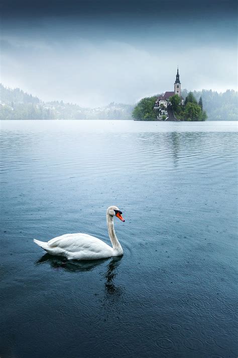 This Is A Nature Blog — By Roberto Pavic