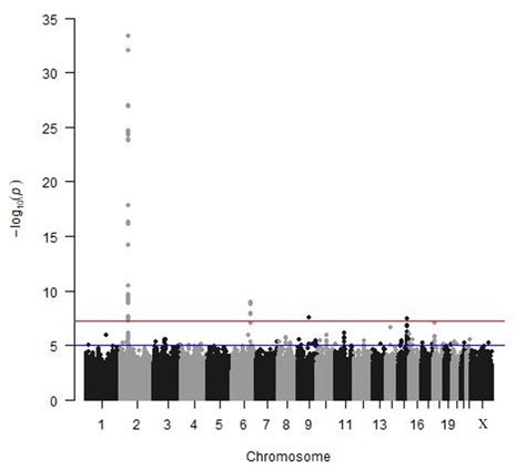 A Manhattan Plot Of Log10p Values The Red Line Indicates The